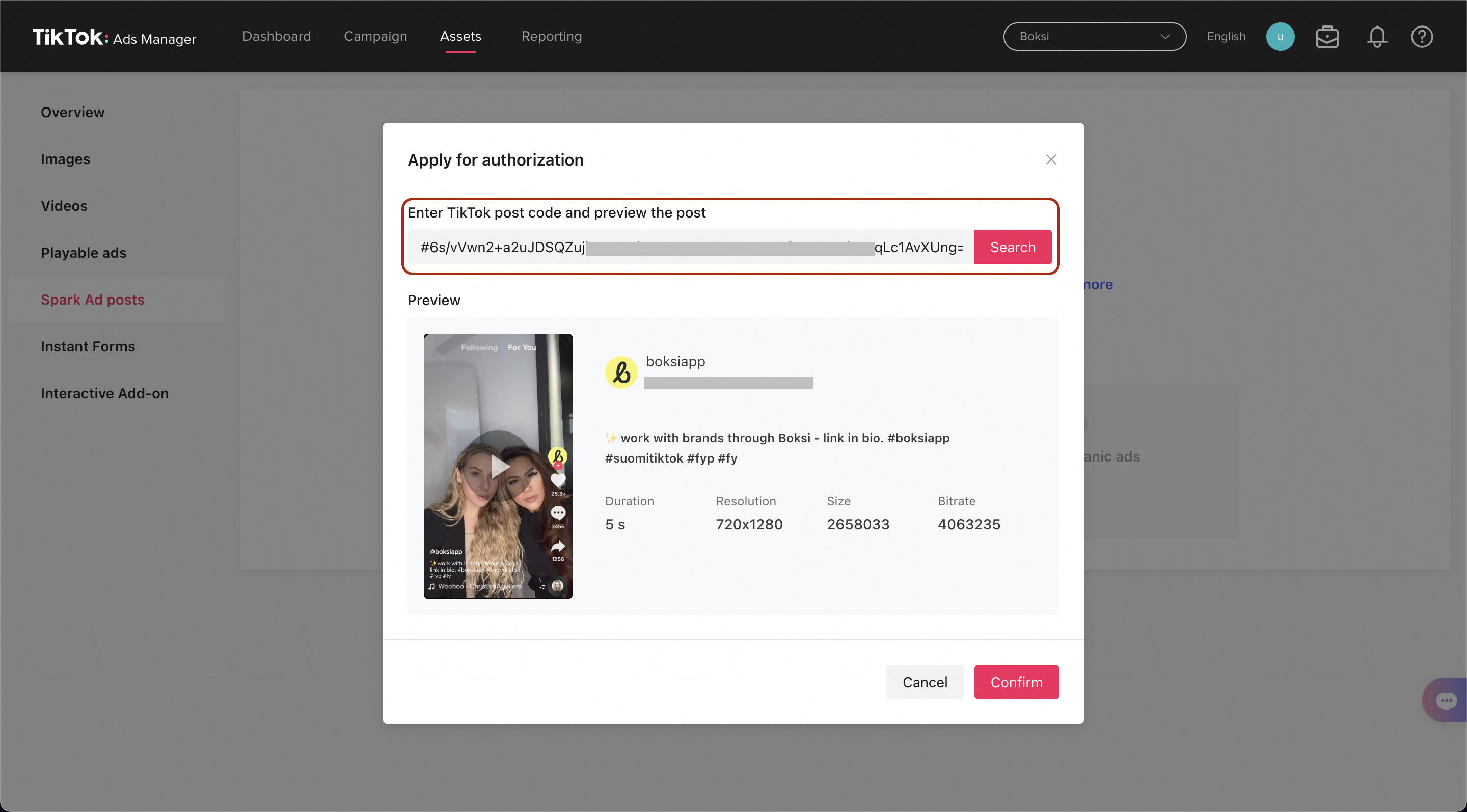 Everything you wanted to know about TikTok Spark Ads