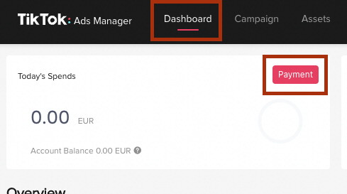 Everything you wanted to know about TikTok Spark Ads